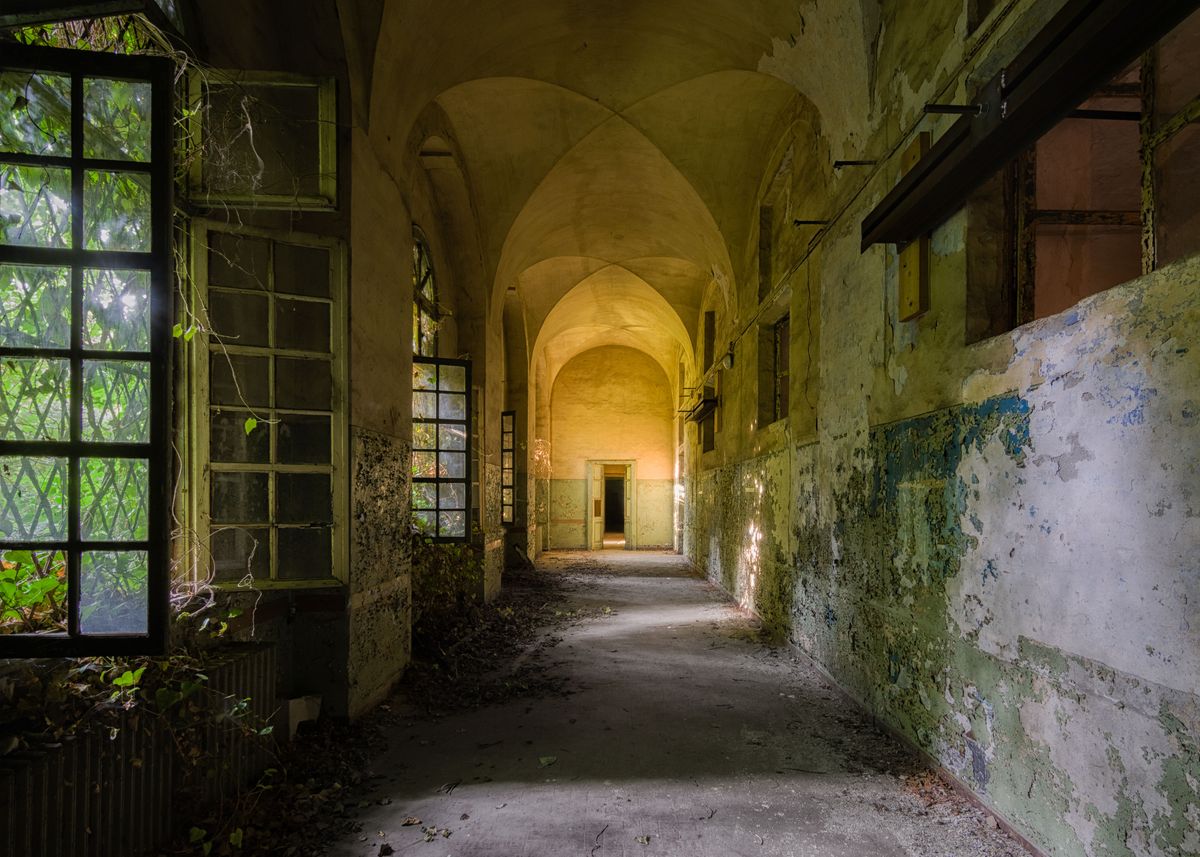 'Sunset At The Asylum' Poster, picture, metal print, paint by Obsidian ...