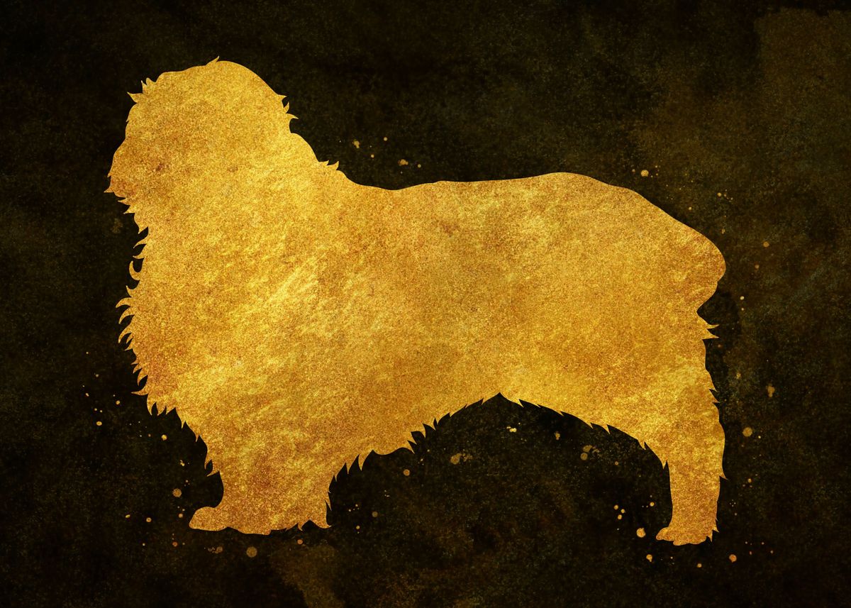 'Clumber Spaniel Dog' Poster, picture, metal print, paint by Yahya Art ...