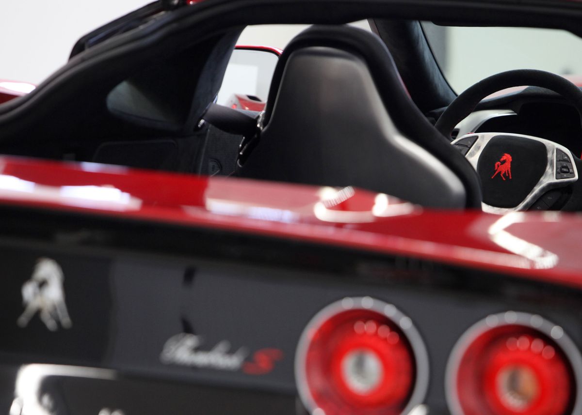 'Equus throwback S back' Poster, picture, metal print, paint by LCW17 ...