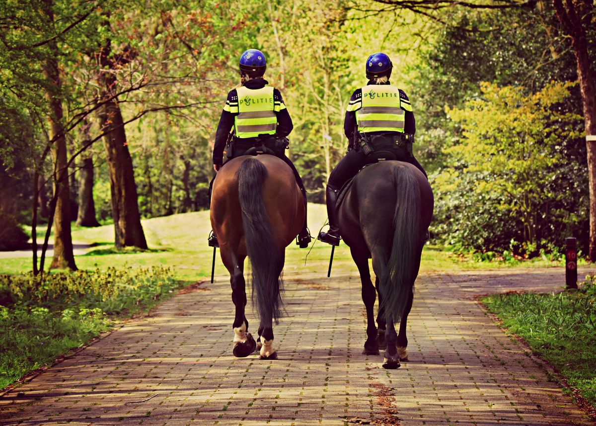'Mounted Police Force ' Poster, picture, metal print, paint by Stephen ...