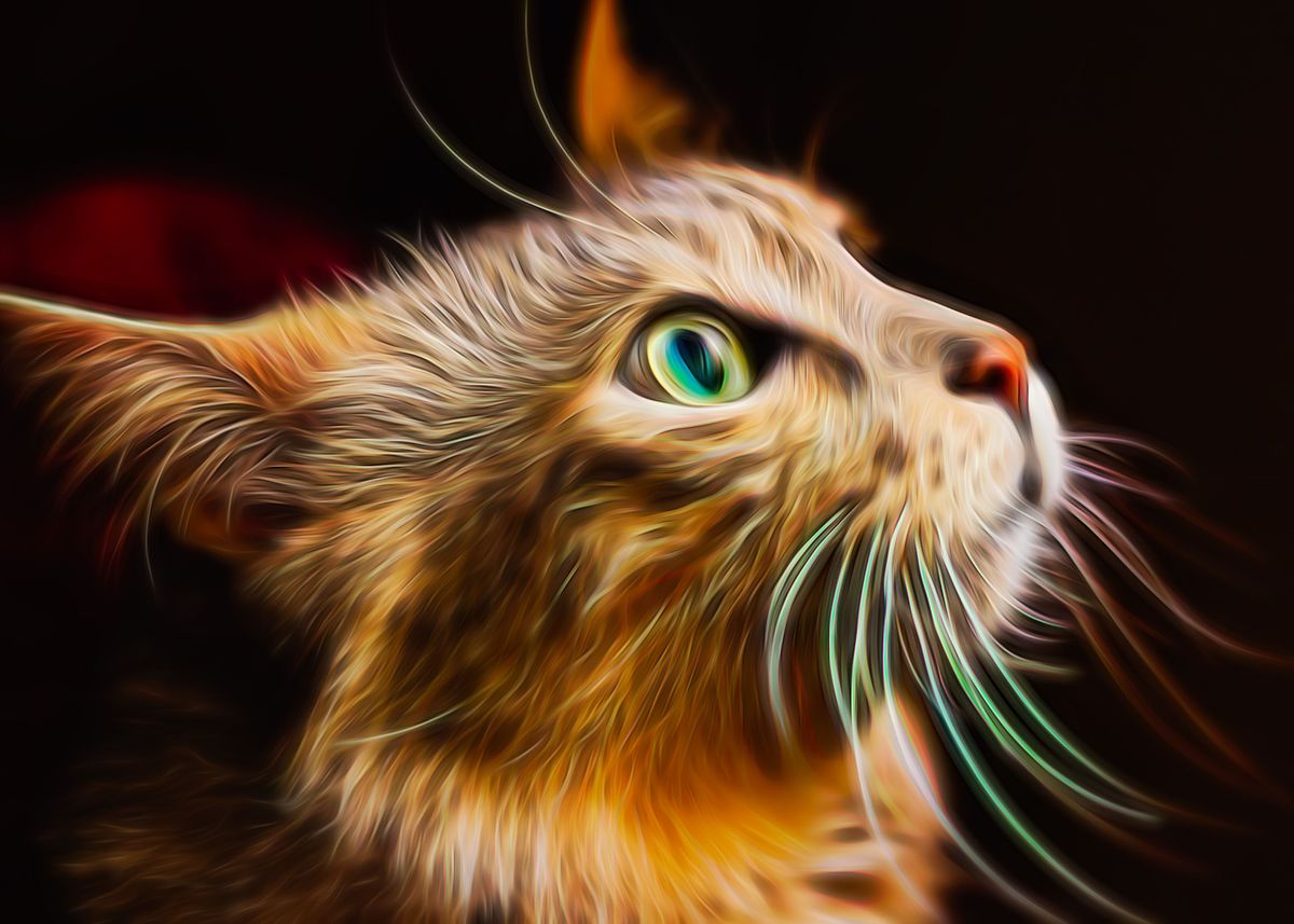 'Wonder Cat' Poster by Armstrong | Displate