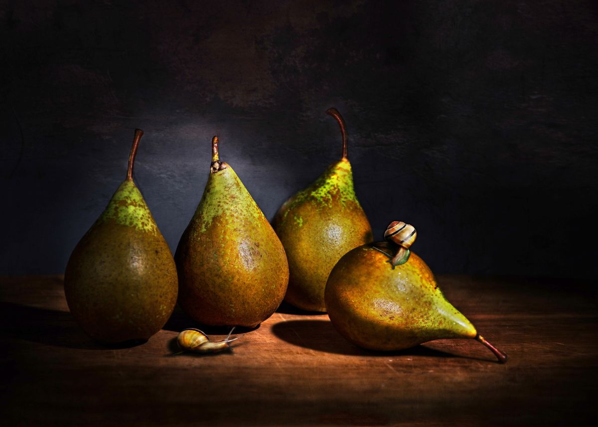 'pears and snails' Poster by Christiane Calmbacher | Displate