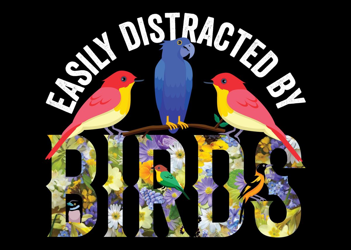 'Easily Distracted By Birds' Poster by SWAYSHIRT | Displate