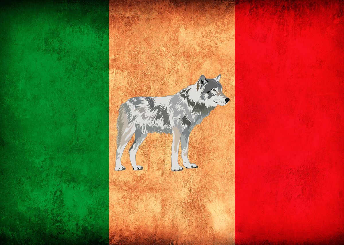 'Italy Flag And Wolf' Poster, picture, metal print, paint by Artistic ...