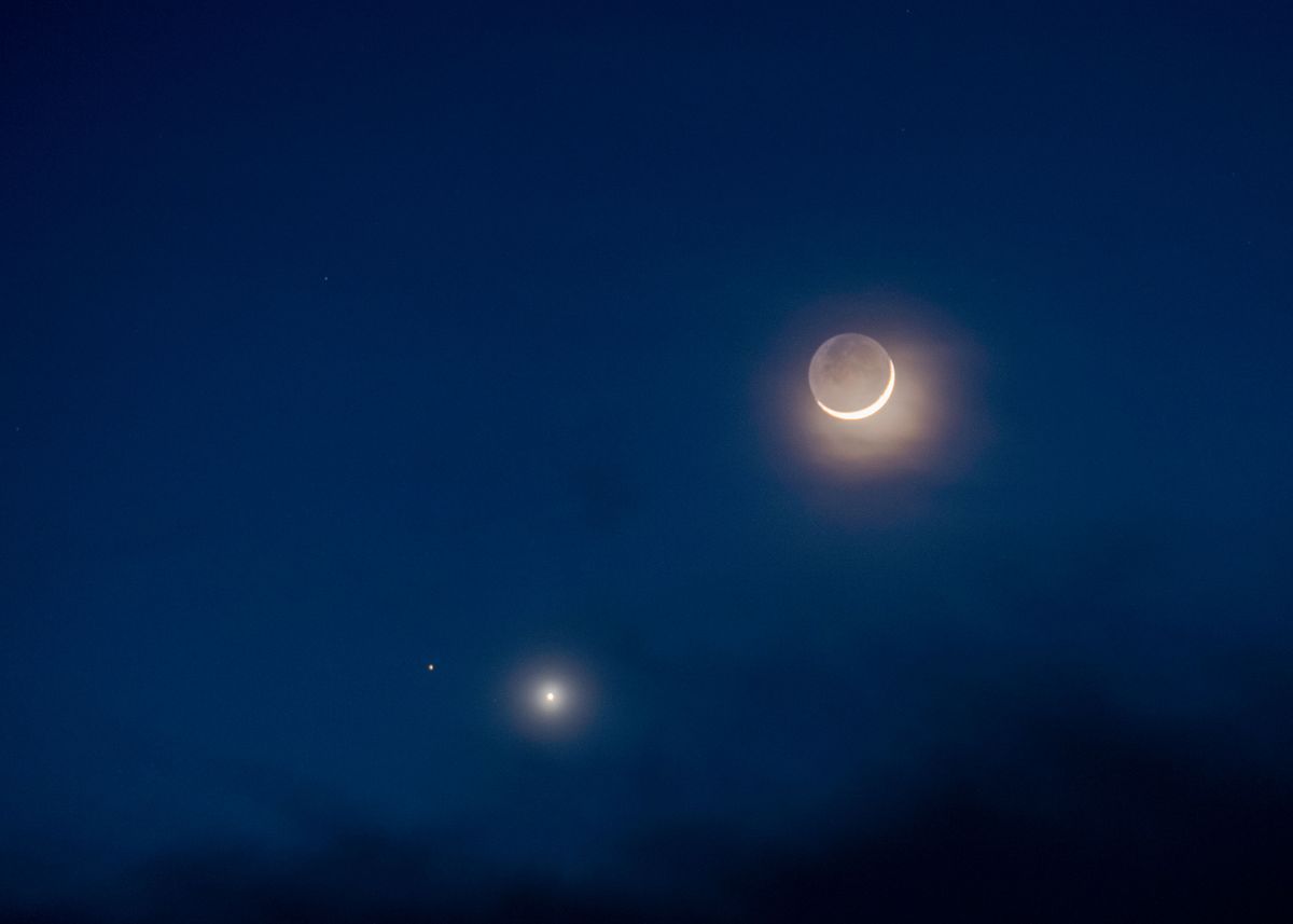 'Moonshining Venus' Poster, picture, metal print, paint by Soham Saha ...