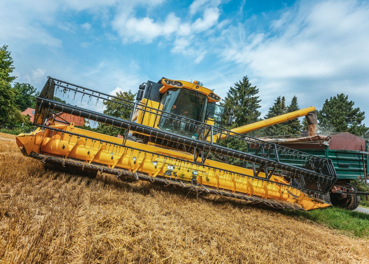 'Yellow combine harvester' Poster, picture, metal print, paint by ...
