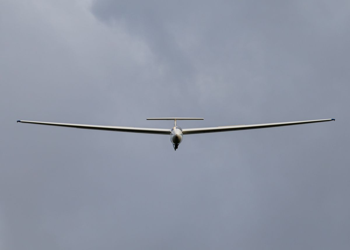 'Glider' Poster, picture, metal print, paint by Anjo ten Kate | Displate