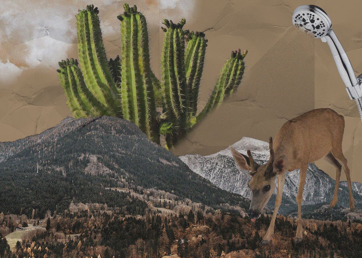 'Collage ' Poster, picture, metal print, paint by Laura Winstead | Displate