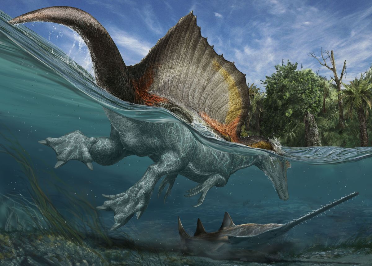 'Spinosaurus Dinosaur water' Poster, picture, metal print, paint by ...