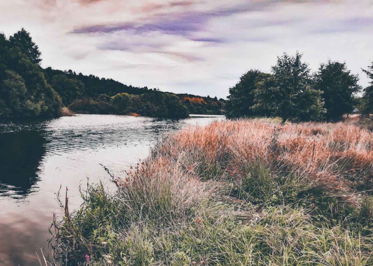 'Colorful riverside fall' Poster, picture, metal print, paint by Edy ...