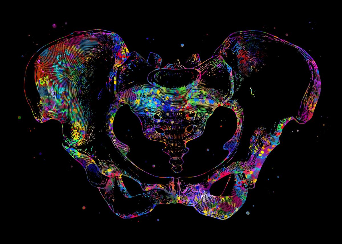 'Pelvis Anatomy' Poster, picture, metal print, paint by Yahya Art ...