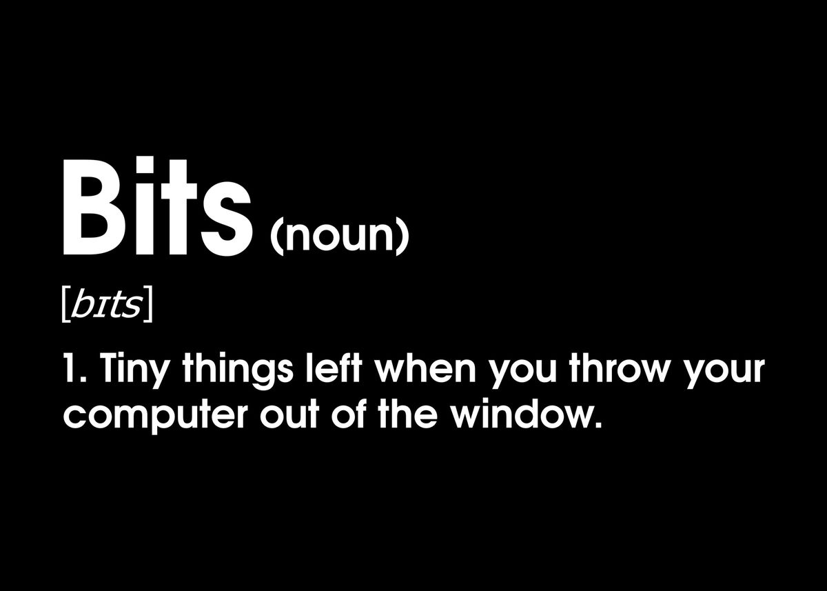 'Programmer Dictionary Joke' Poster, picture, metal print, paint by ...