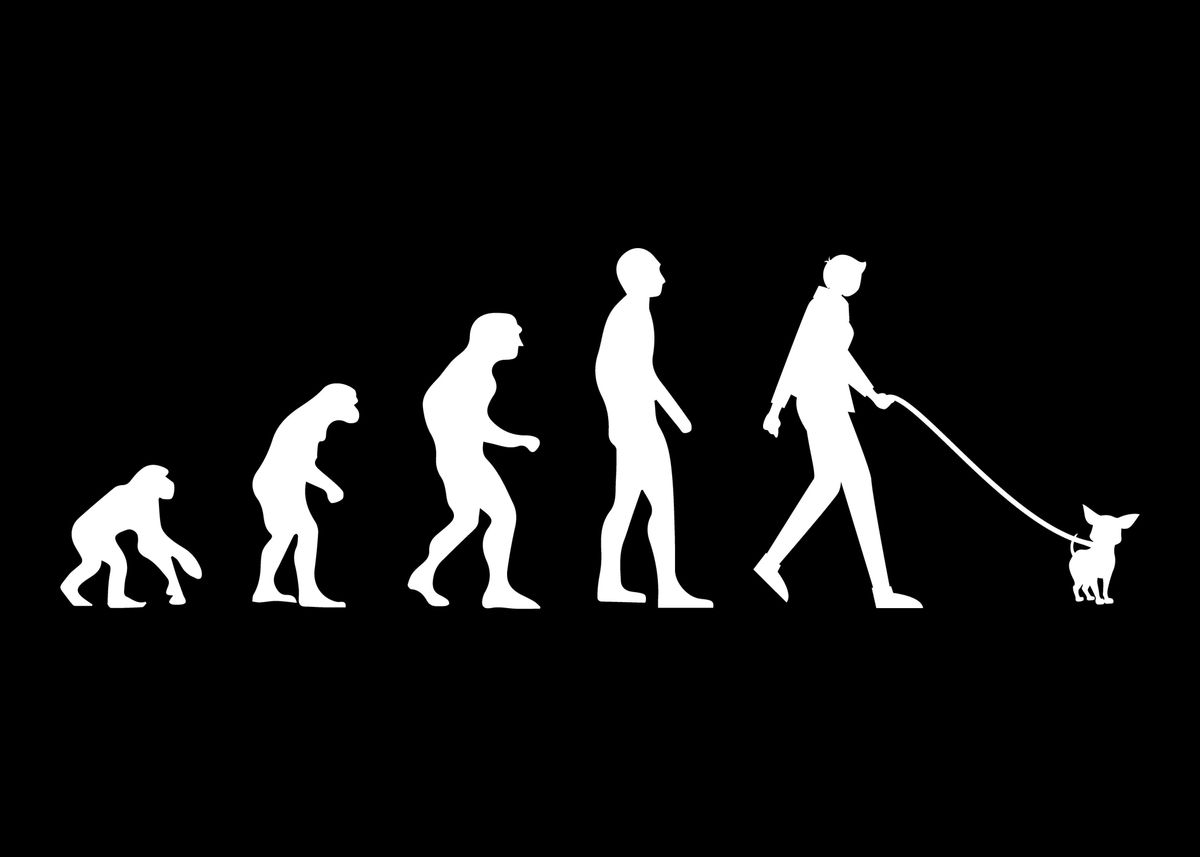 'Chihuahua Evolution Chihua' Poster, picture, metal print, paint by ...