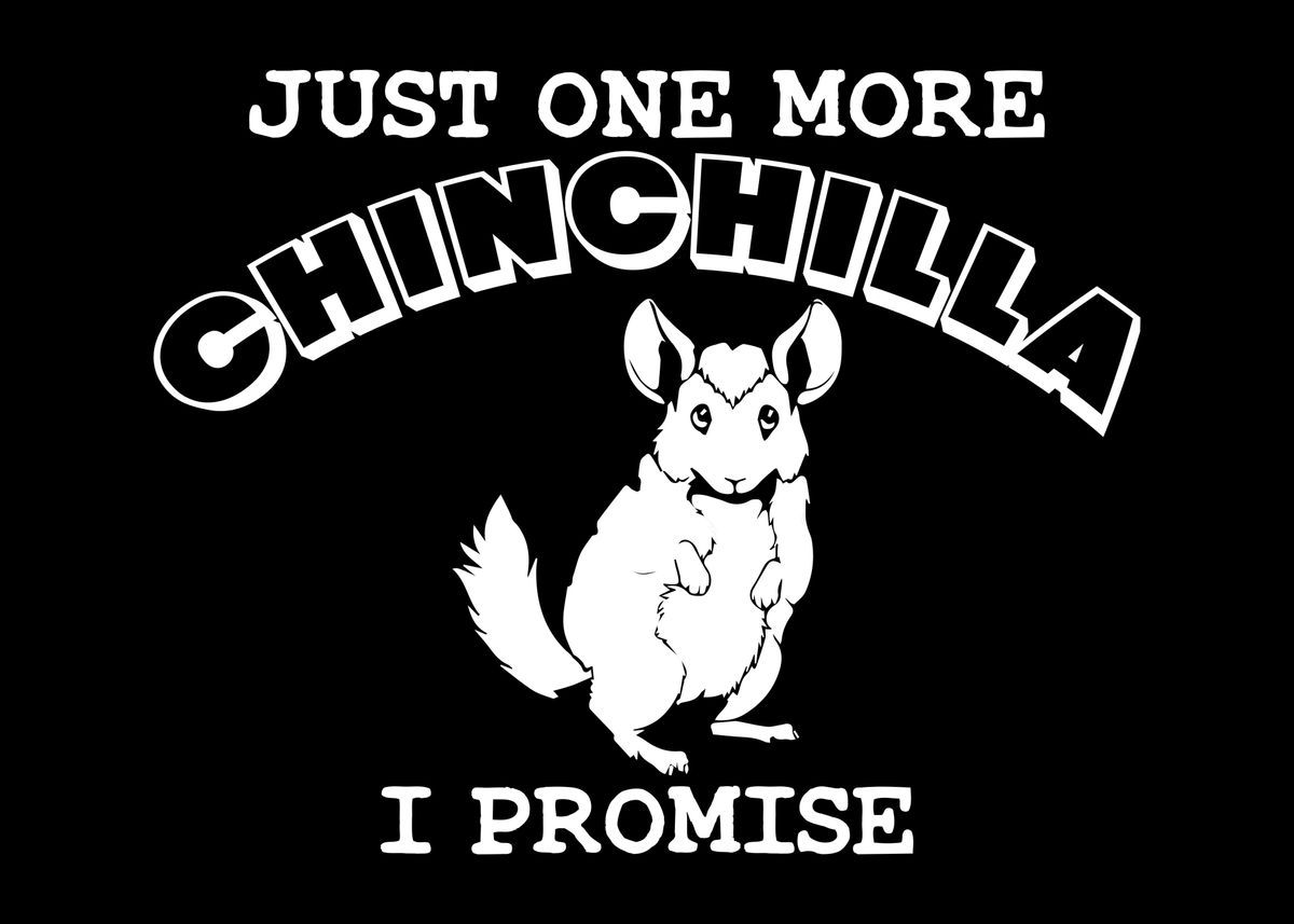 'Chinchilla Joke Saying' Poster, picture, metal print, paint by ...