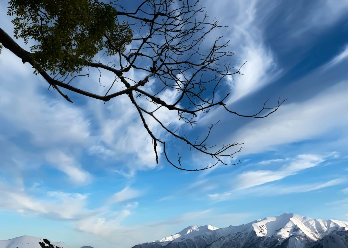 'Overhanging Branches' Poster by HanPing Tseng | Displate