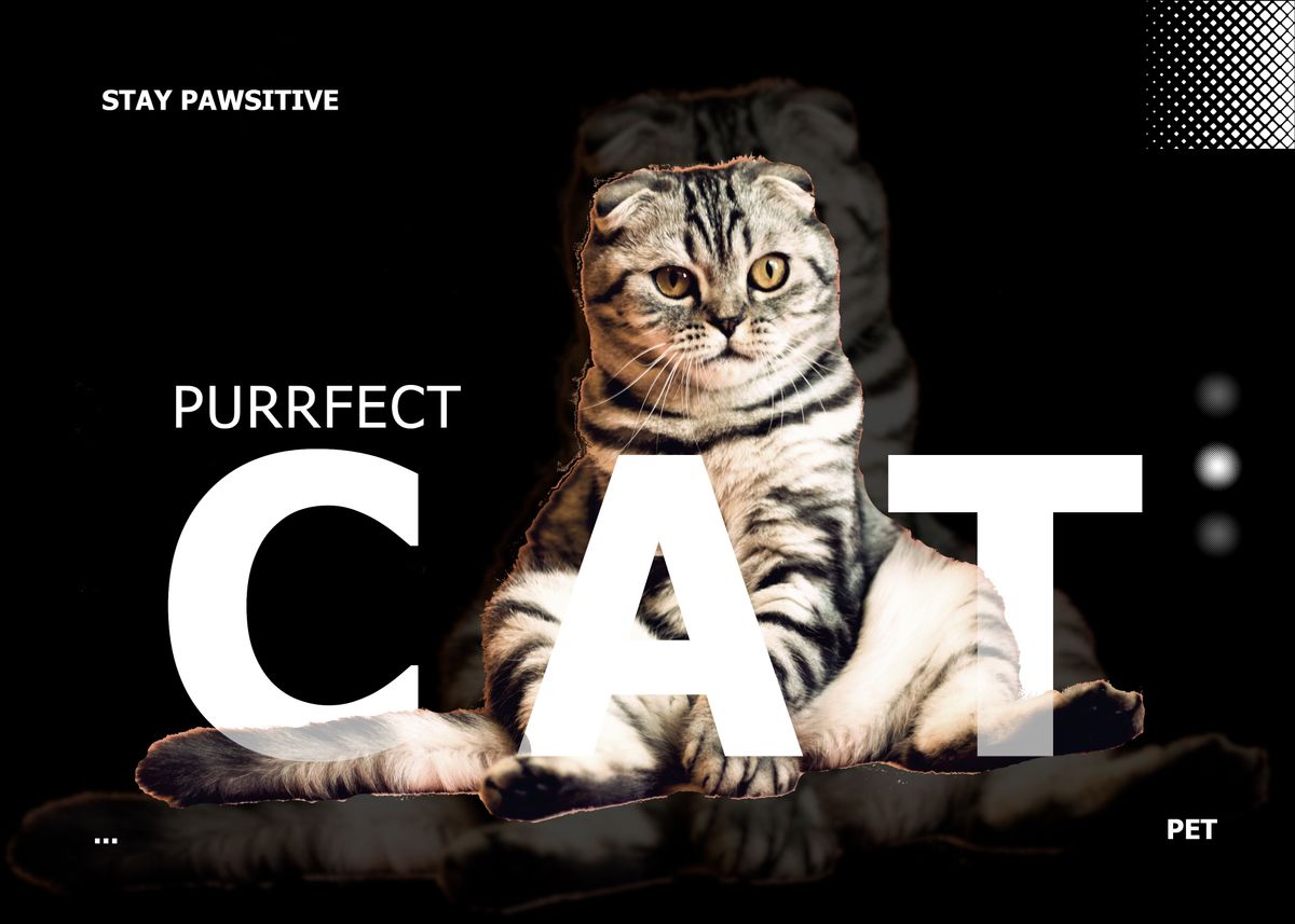 'Purrfect Cat' Poster by Alkaner | Displate