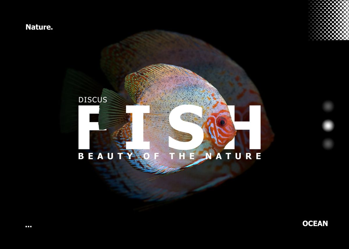'Discus Fish' Poster, picture, metal print, paint by Alkaner | Displate