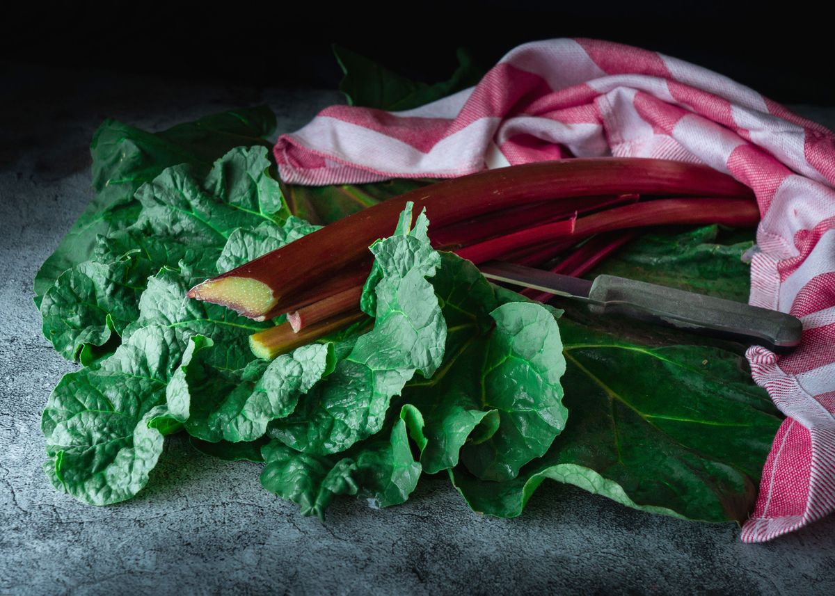 'Fresh organic rhubarb' Poster, picture, metal print, paint by Sabine ...