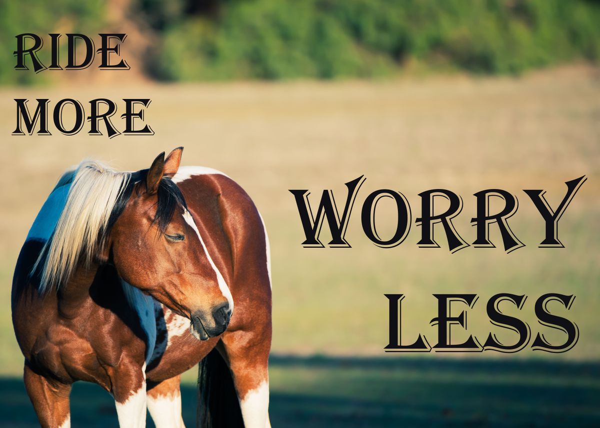 'Ride More Worry Less Horse' Poster, picture, metal print, paint by ...