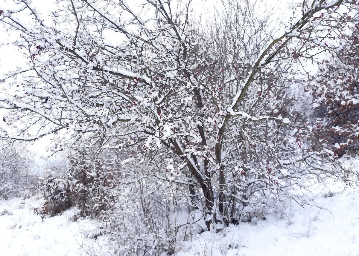 'Briar in the snow' Poster by Edy Art Space | Displate