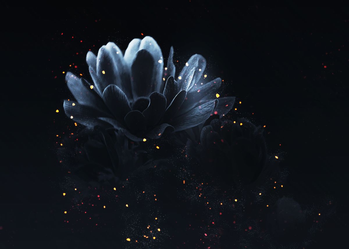 'Abstract flower' Poster, picture, metal print, paint by 4T4 Design ...