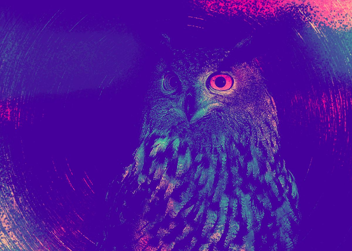 'European Eagle Owl' Poster, picture, metal print, paint by 4T4 Design ...