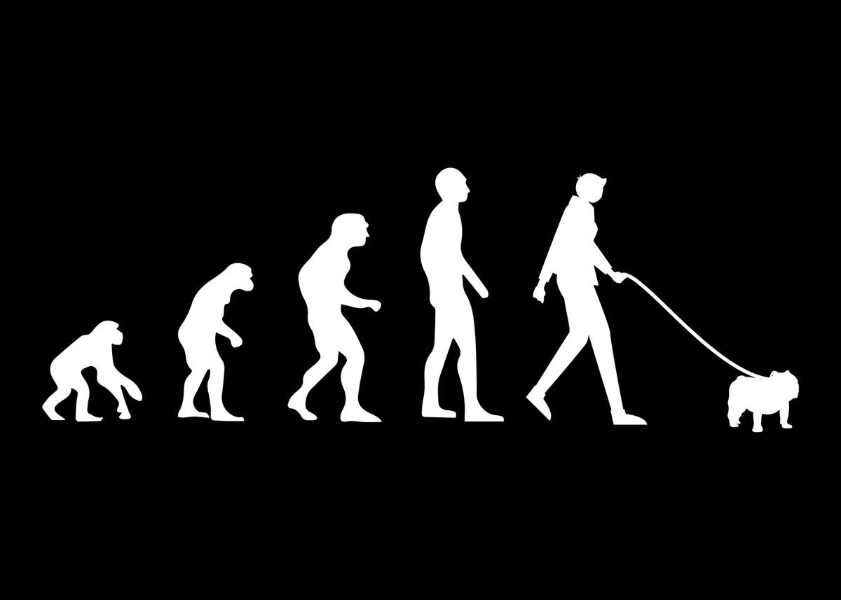 'English Bulldog Evolution ' Poster, picture, metal print, paint by ...