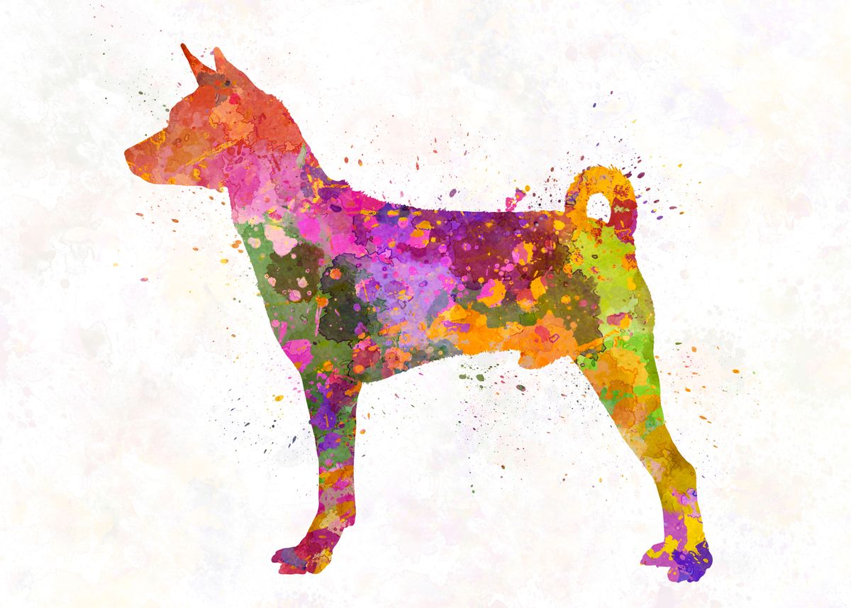 'Basenji dog watercolor' Poster, picture, metal print, paint by Cristina Romero | Displate