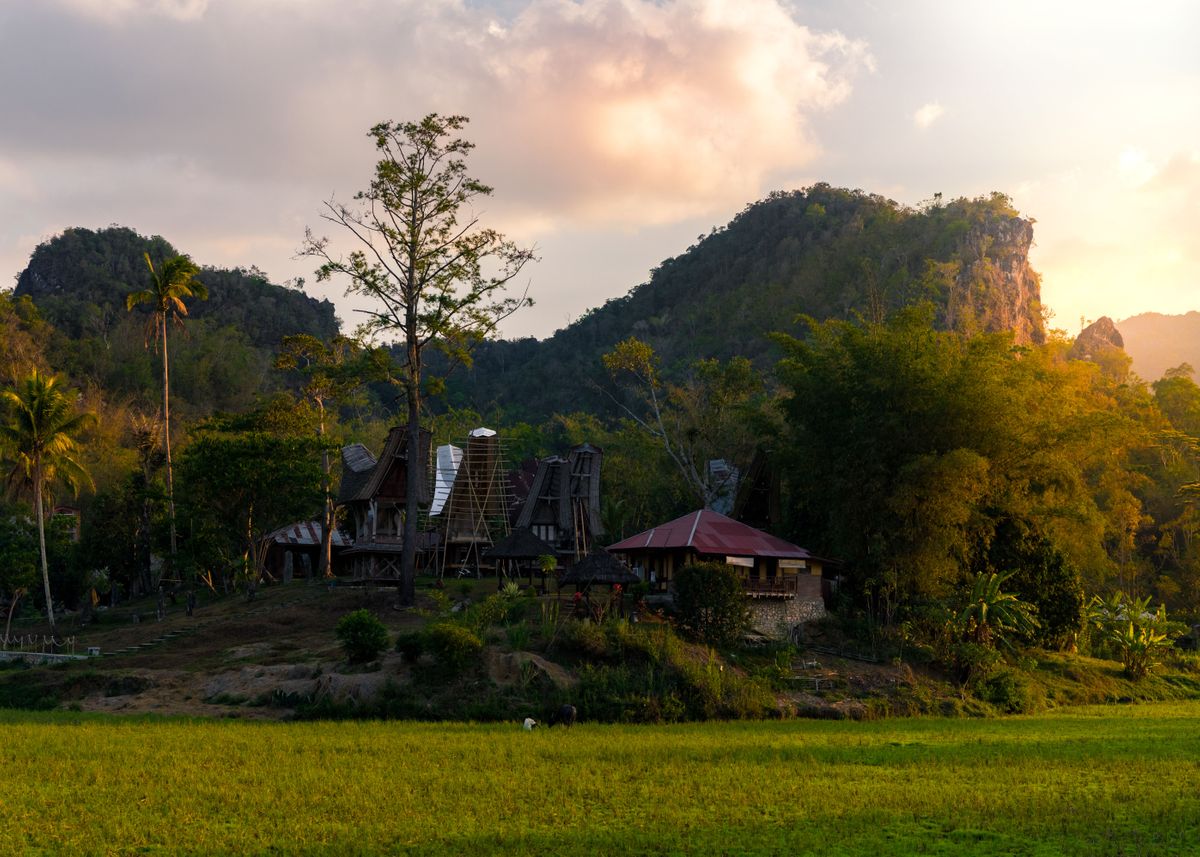 'Tana Toraja' Poster, picture, metal print, paint by Yann Droy | Displate