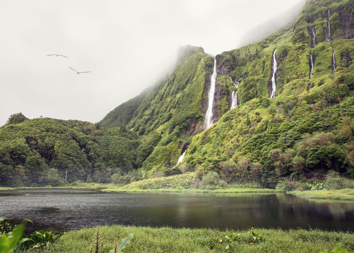 'Azorean Waterfall' Poster, picture, metal print, paint by photoschmidt ...