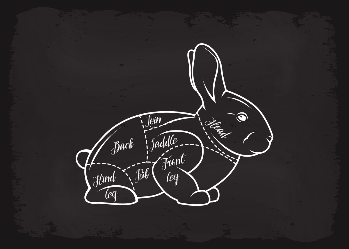 'Butcher Cuts of Rabbit' Poster, picture, metal print, paint by ...