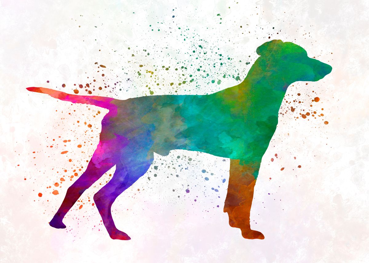 'Hellenic Hound dog' Poster, picture, metal print, paint by Cristina ...