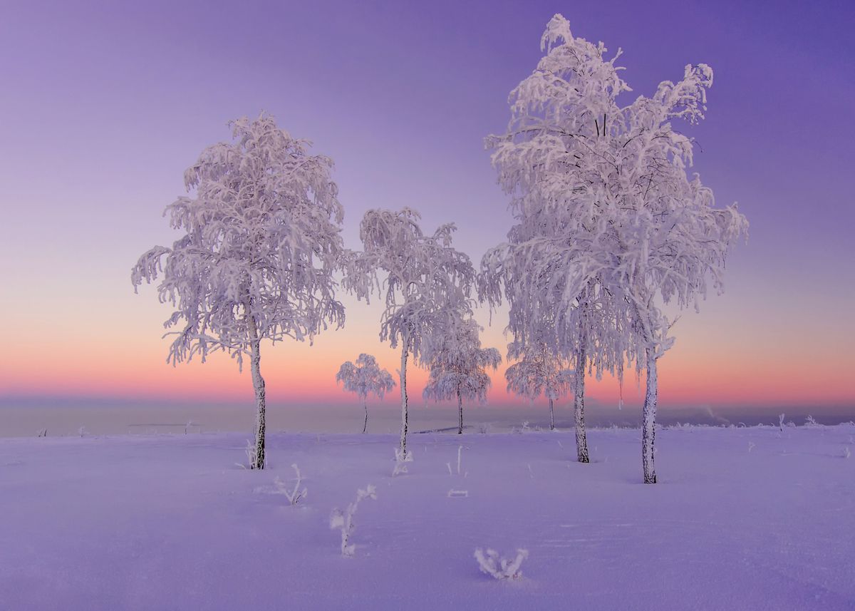 'January Evening' Poster, picture, metal print, paint by World Class ...