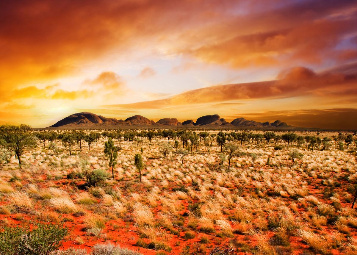 'Australia Desert Travel' Poster, picture, metal print, paint by ...
