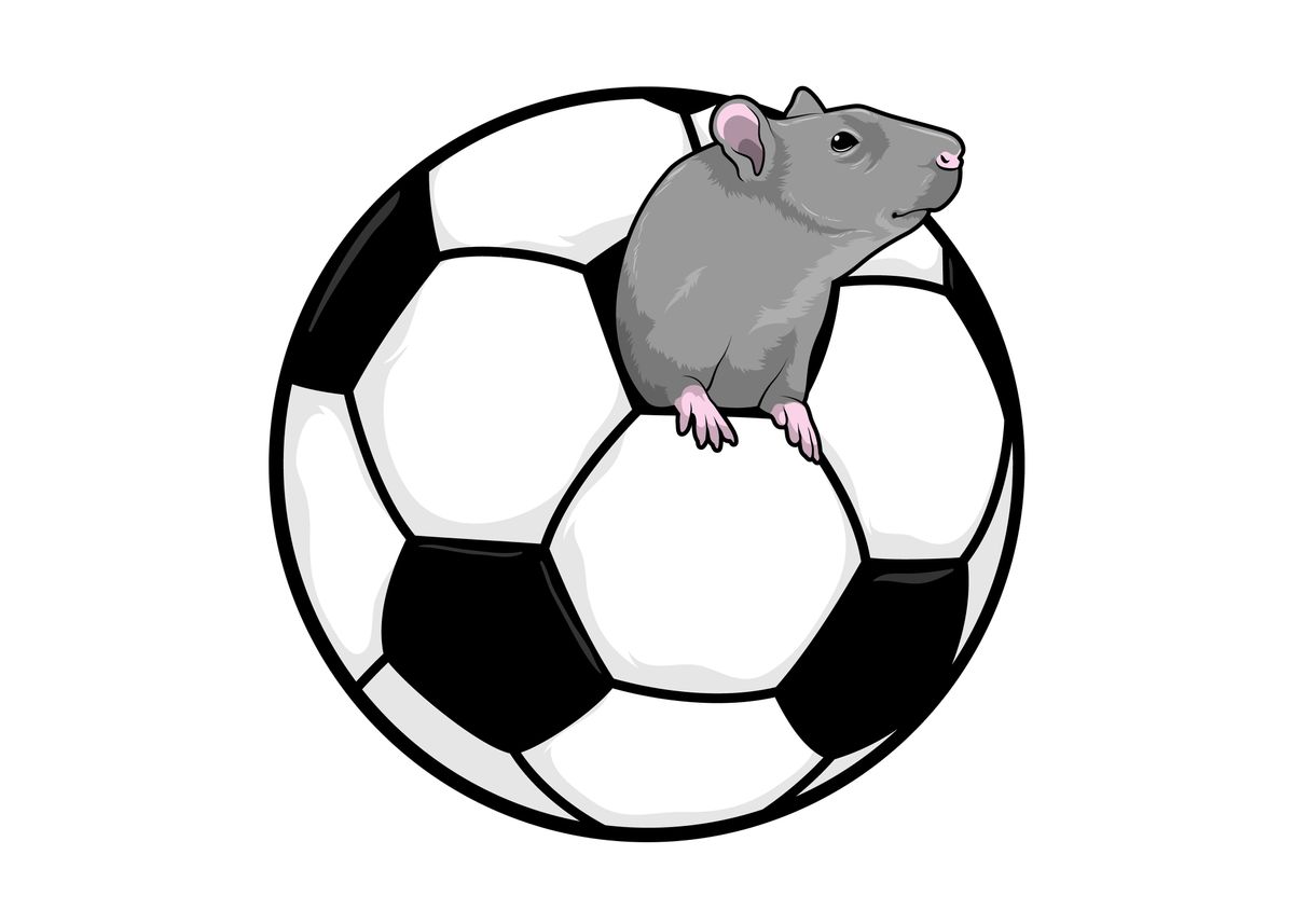 'Rat Soccer Sports' Poster by Markus Schnabel | Displate