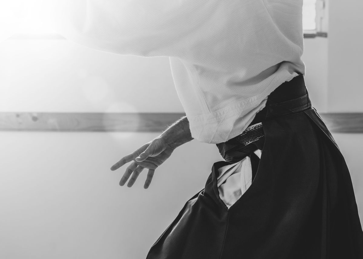 'Aikido' Poster, picture, metal print, paint by maramade photo | Displate