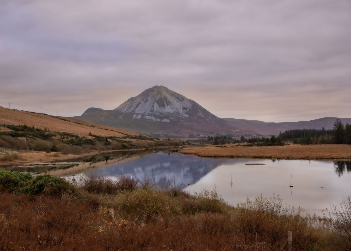 'Errigle' Poster, picture, metal print, paint by Martin Hesketh | Displate