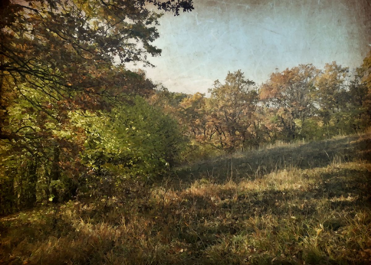 'Vintage forest postcard' Poster, picture, metal print, paint by Edy ...