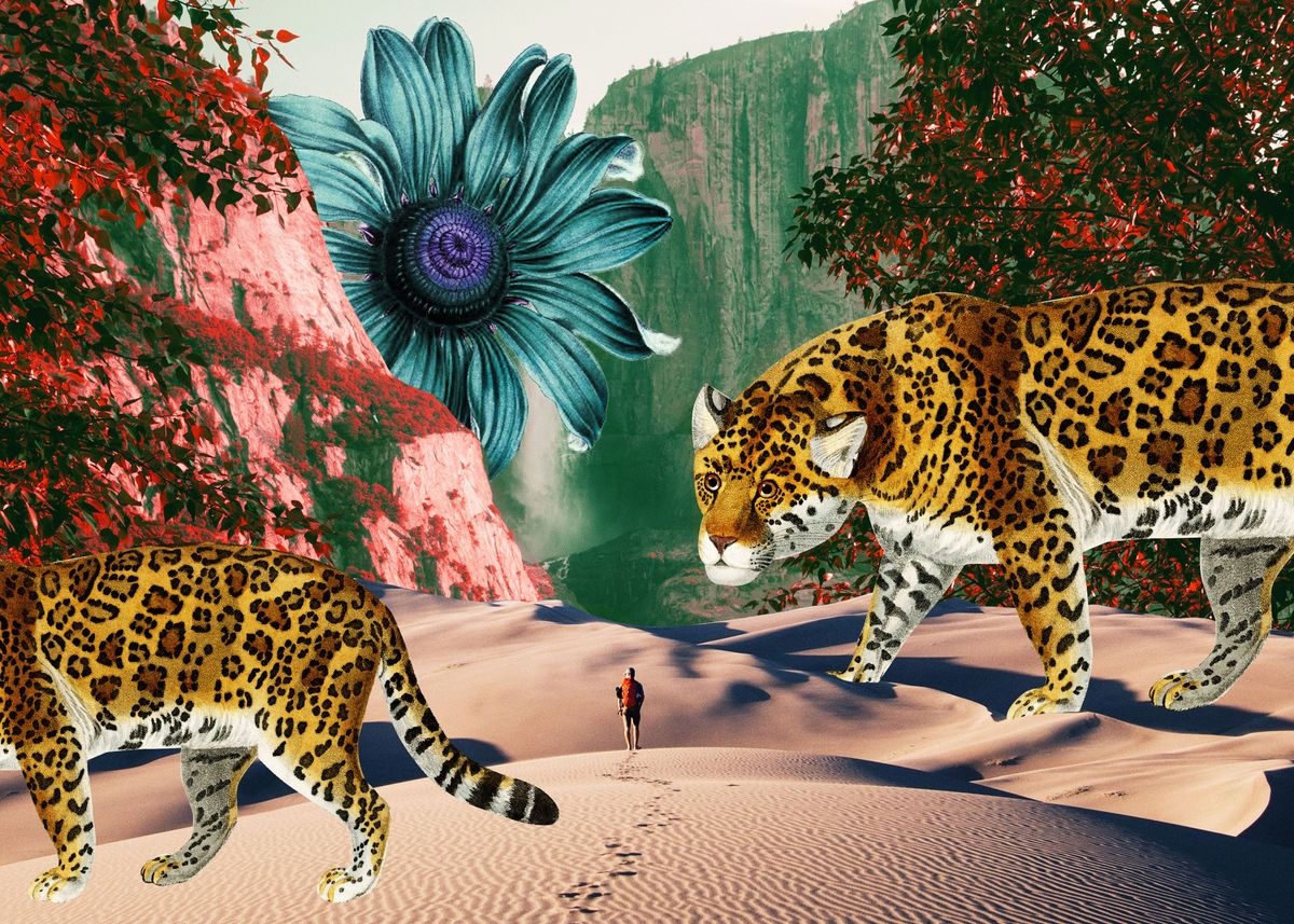 'King of the jungle' Poster, picture, metal print, paint by Marcin ...