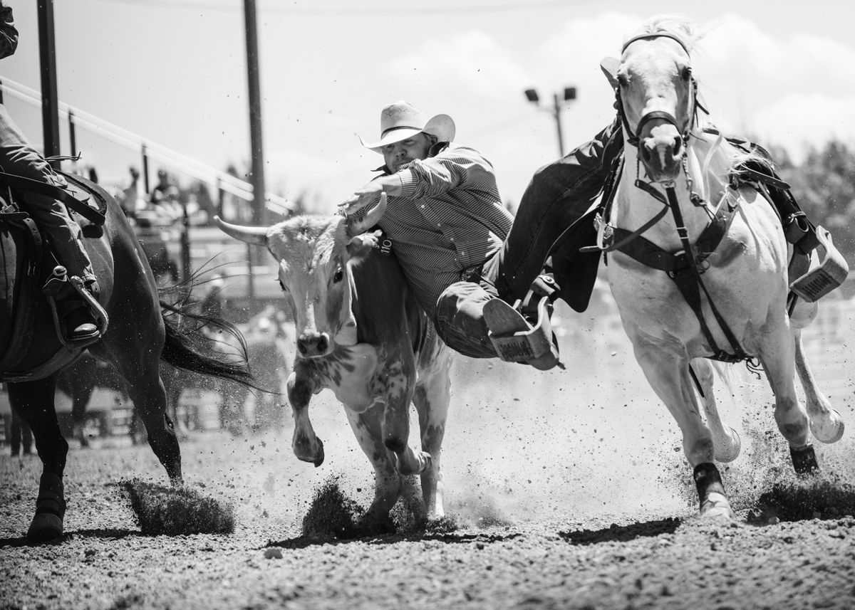 'Rodeo Action' Poster by Stephen Bredenkamp | Displate