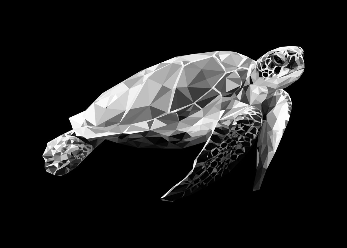 'tortoise' Poster, picture, metal print, paint by Lowpoly Posters ...