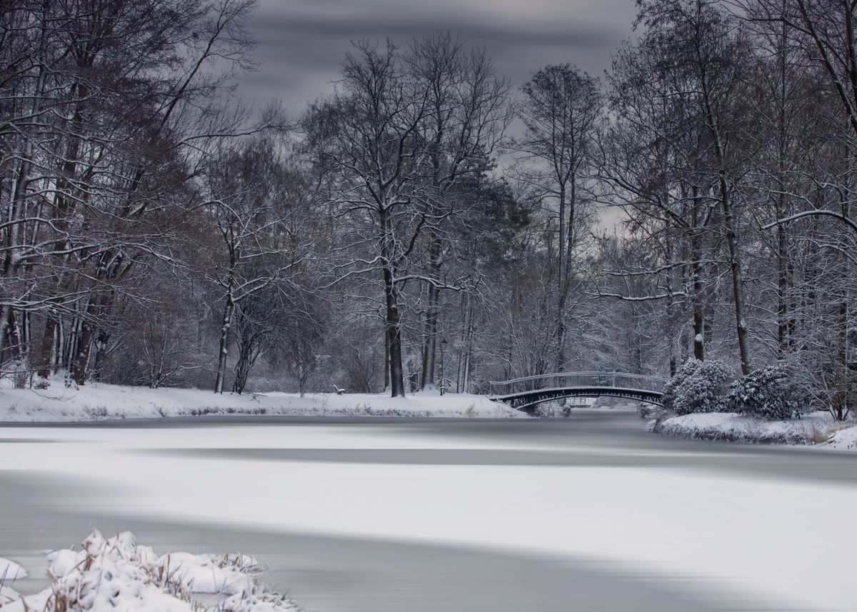 'Winter lake, park, B&W' Poster, picture, metal print, paint by ...