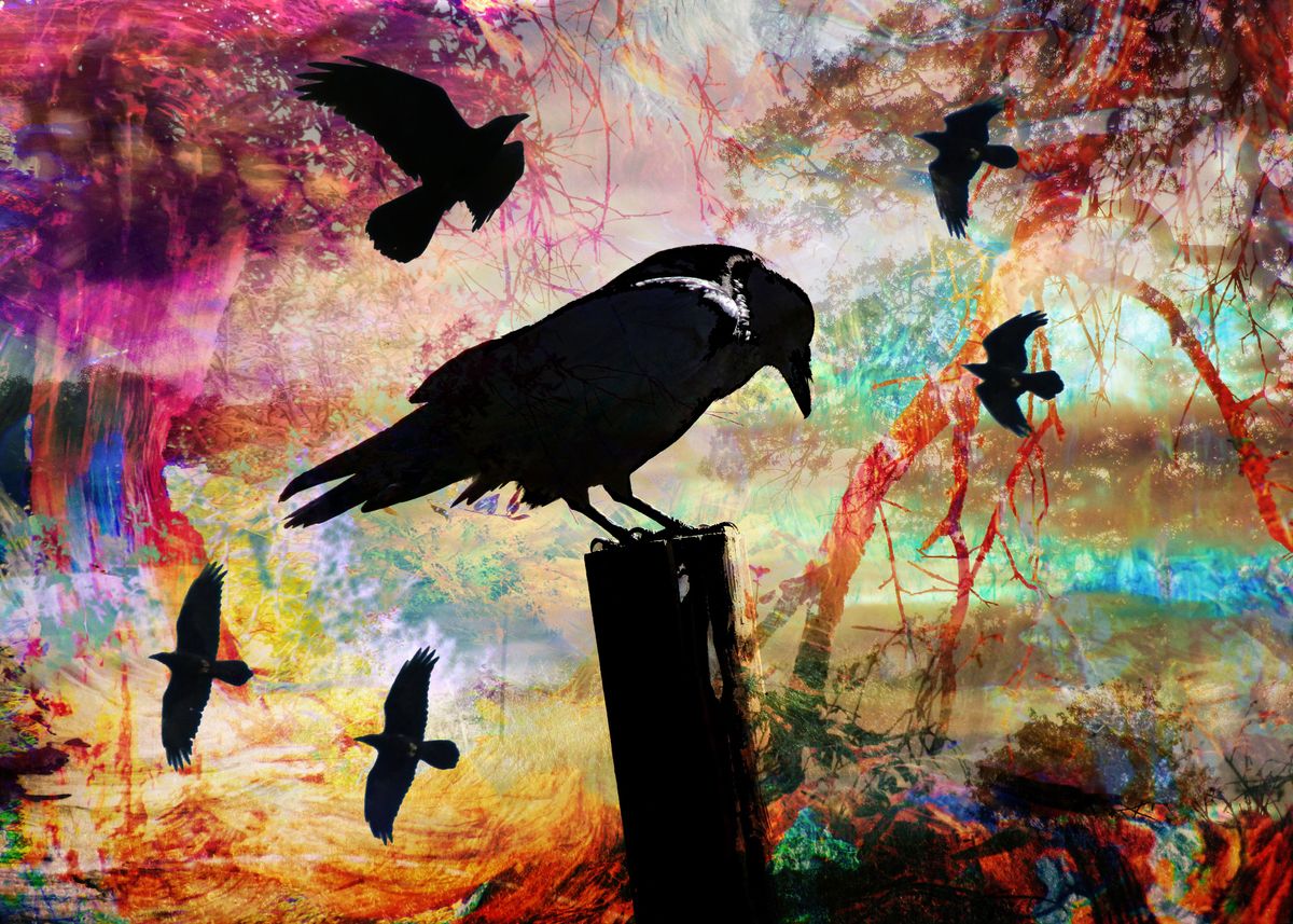 'Black Magic' Poster, picture, metal print, paint by Robert Ball | Displate