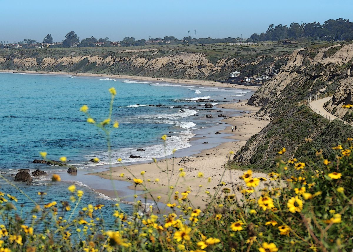 'Crystal Cove' Poster, picture, metal print, paint by Robert Ball ...