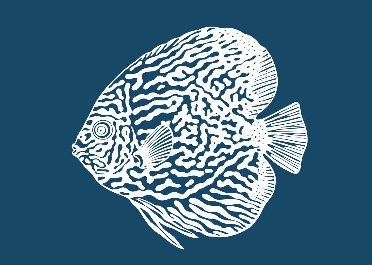 'Discus Fish Ink Drawing' Poster by GreenPaladin | Displate