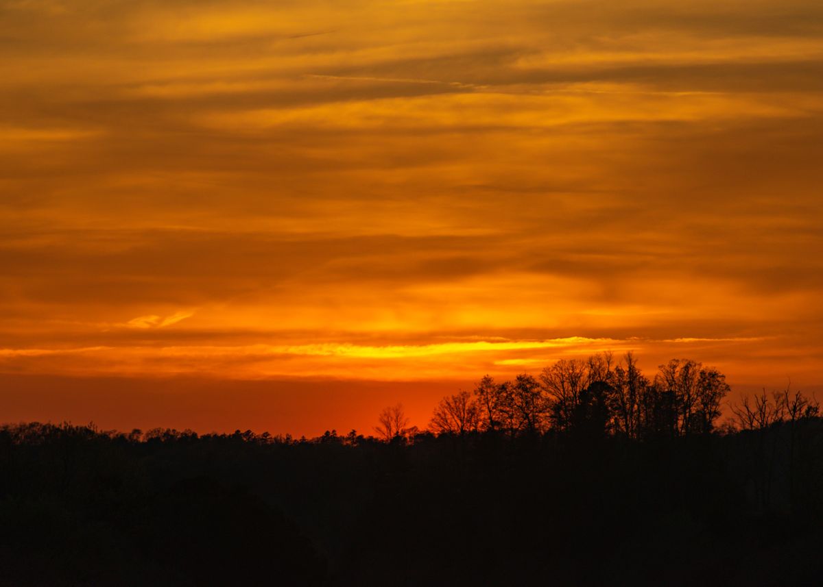'Tangerine Sunset' Poster, picture, metal print, paint by James Suarez ...