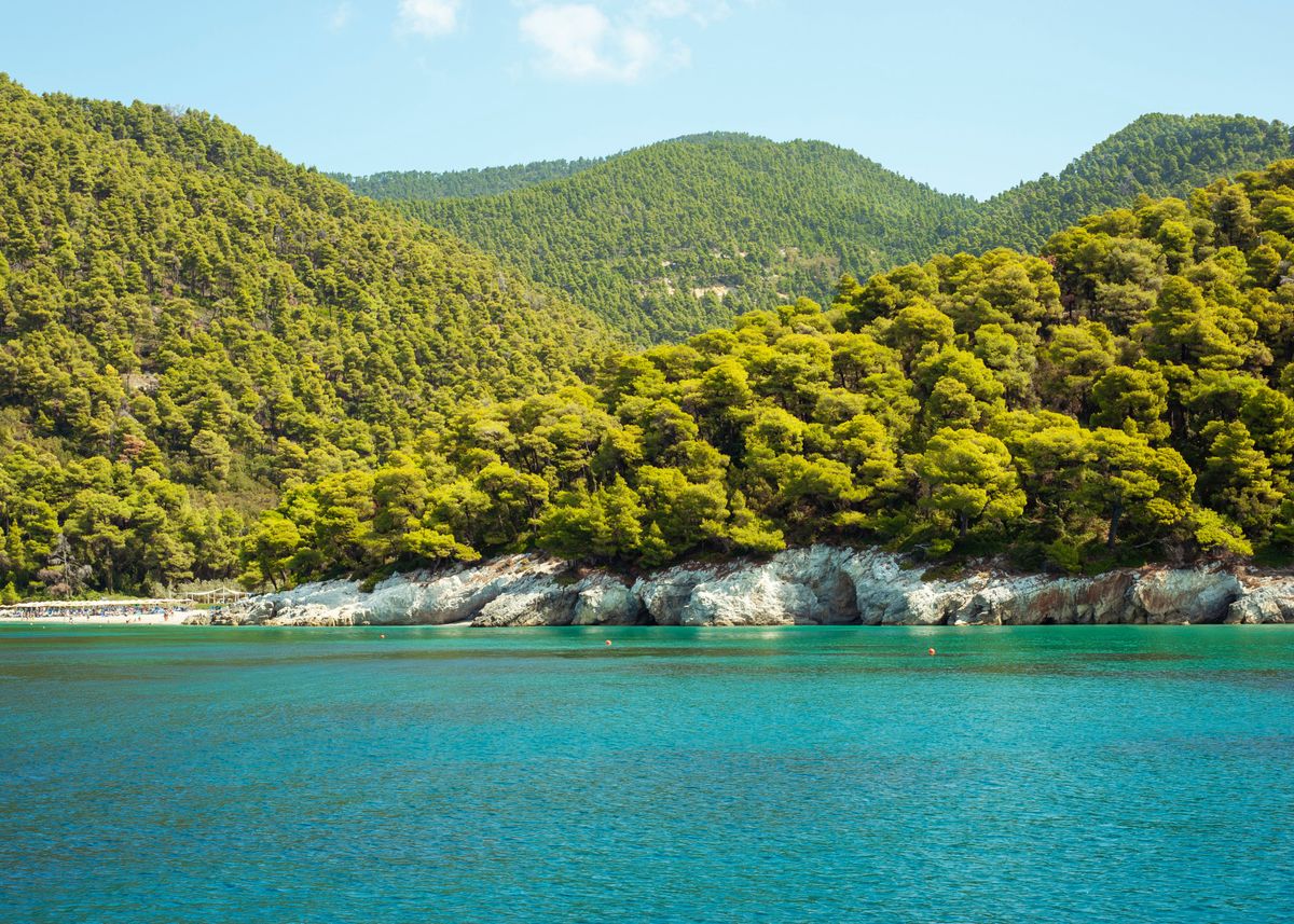 'Green and blue island' Poster, picture, metal print, paint by Ves Jako ...