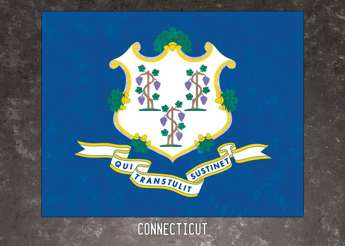 'State Flag of Connecticut ' Poster by Enzwell | Displate