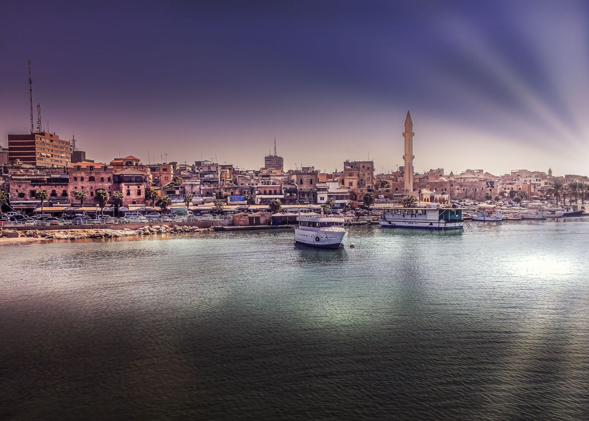 'Saida' Poster, picture, metal print, paint by Amr Miqdadi | Displate