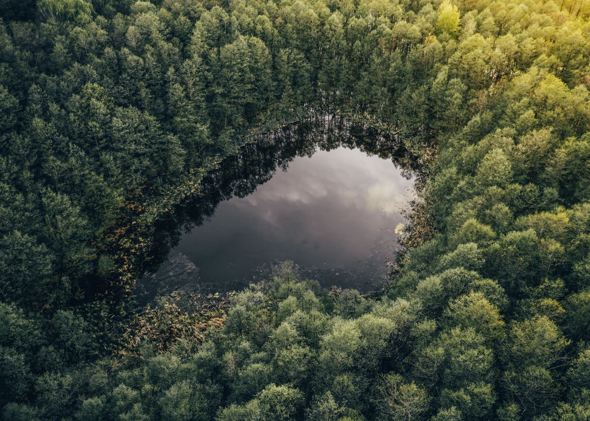 'The pond' Poster by Adam Stolarczyk | Displate